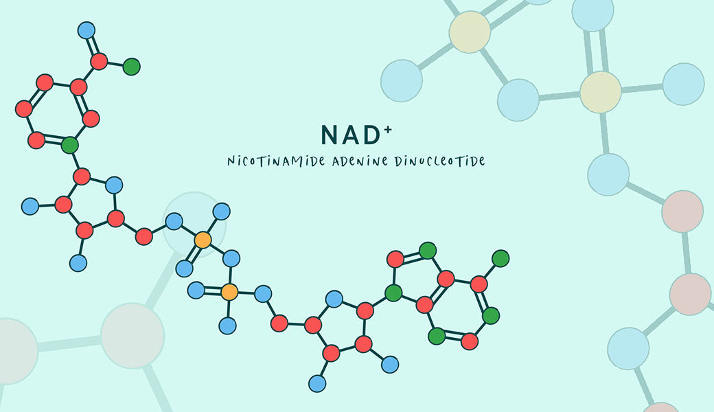 What is NAD? – Pure Synergy