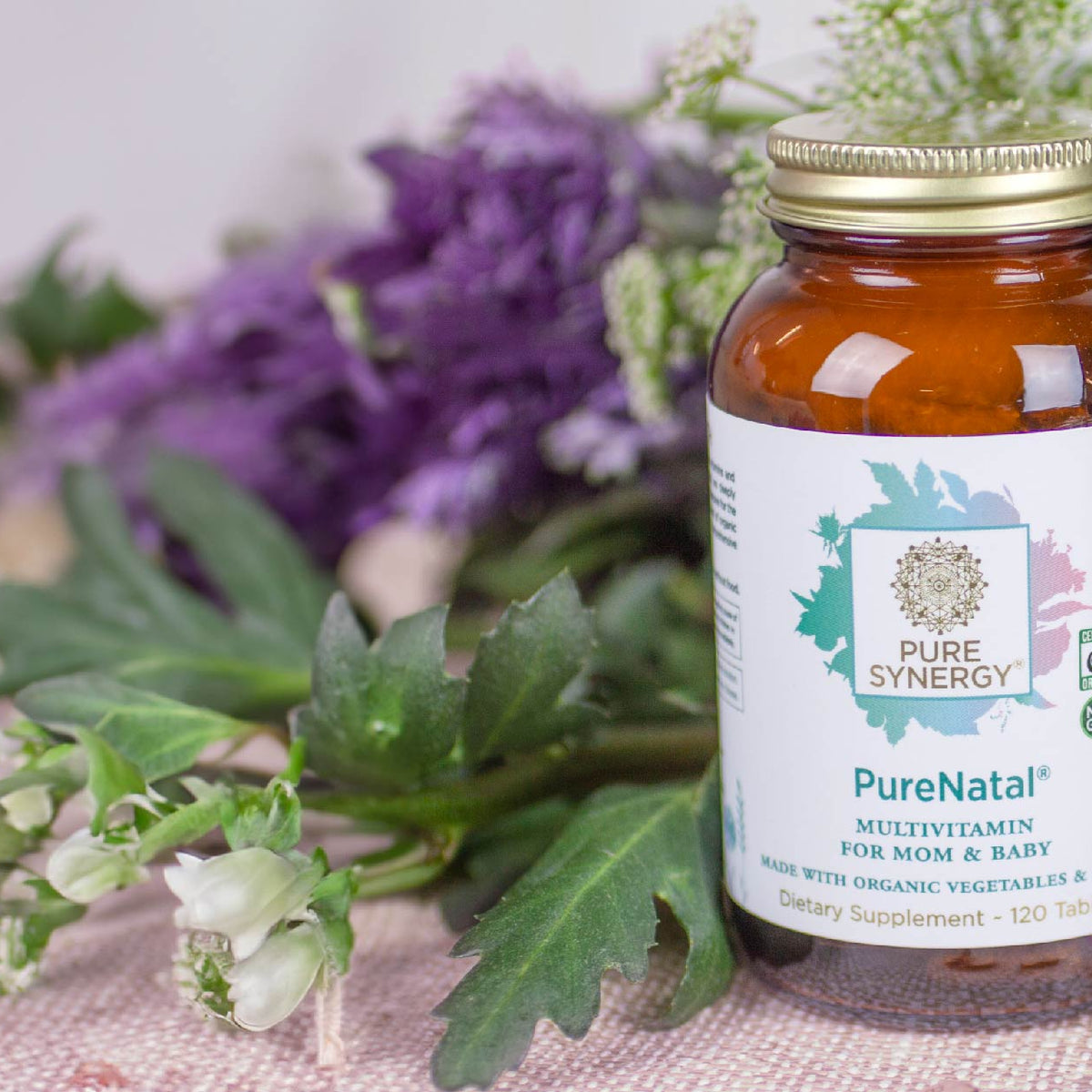 What To Look for In A Prenatal Vitamin – Pure Synergy