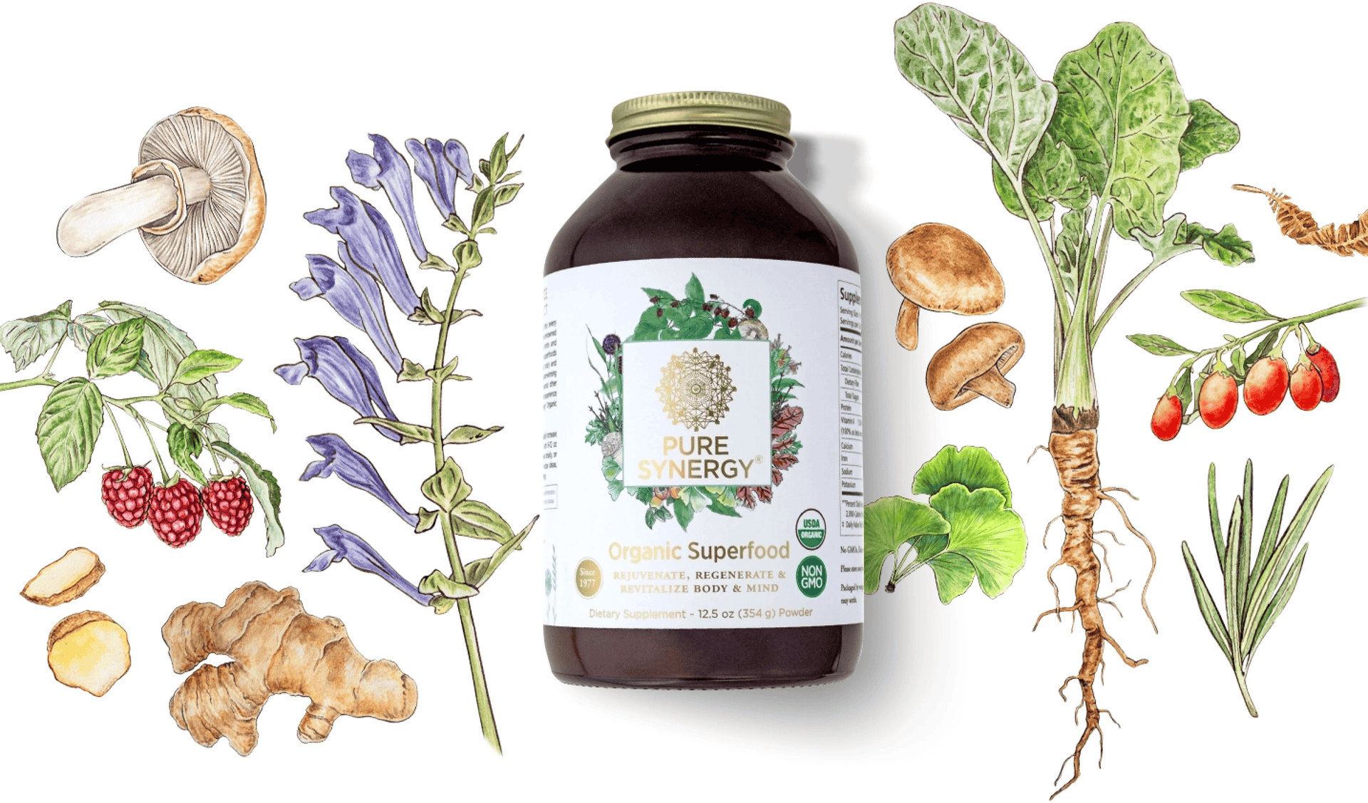 Our Story – Pure Synergy