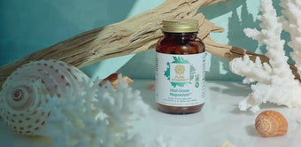 Pure Synergy | Inspired By Nature - Made With Care